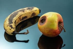 How to Recognize a Bad Banana – Holidays in the Kitchen